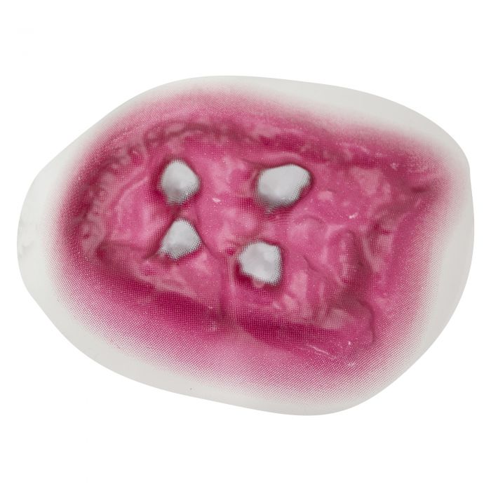 Moulage & Simulation Training | Full Casualty Kits | MedTree UK